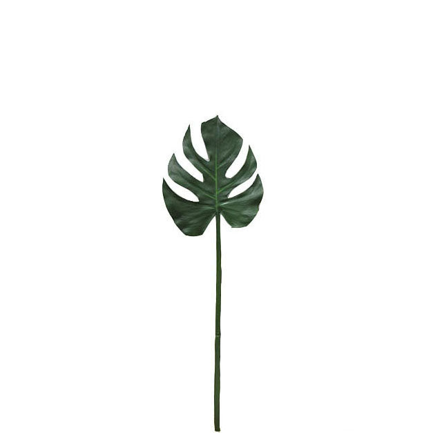 Split-Leaf Philo 58cm. – Flourish_ph