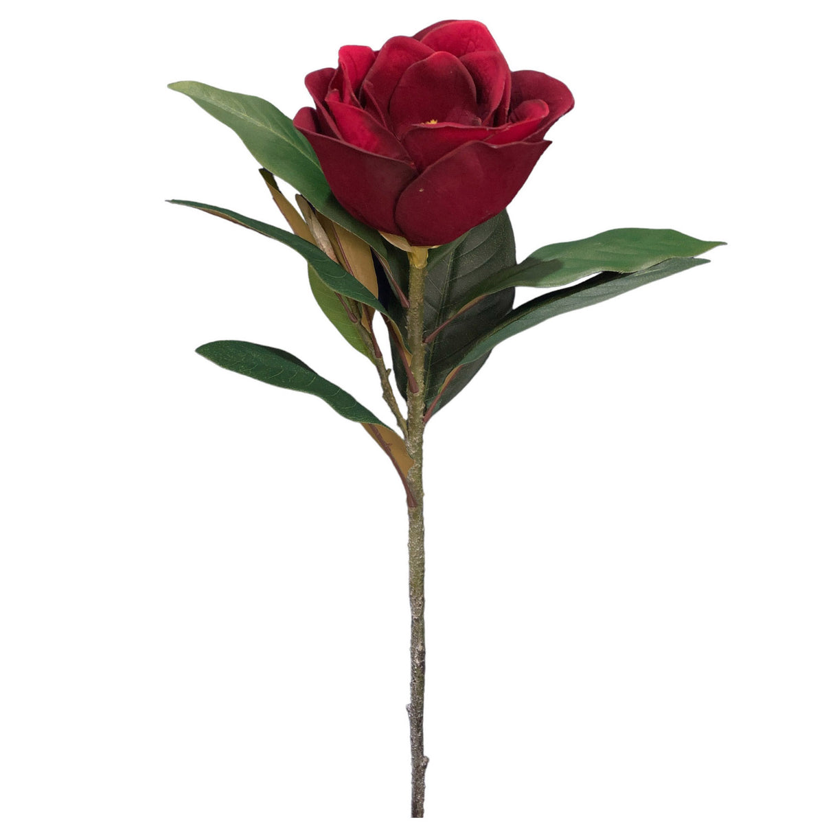 Magnolia Spray 84cm. – Flourish_ph