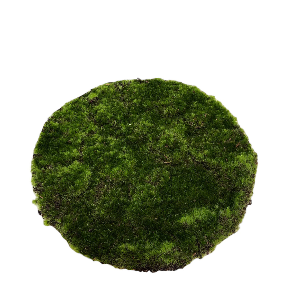 Round Moss Turf 42cm. – Flourish_ph