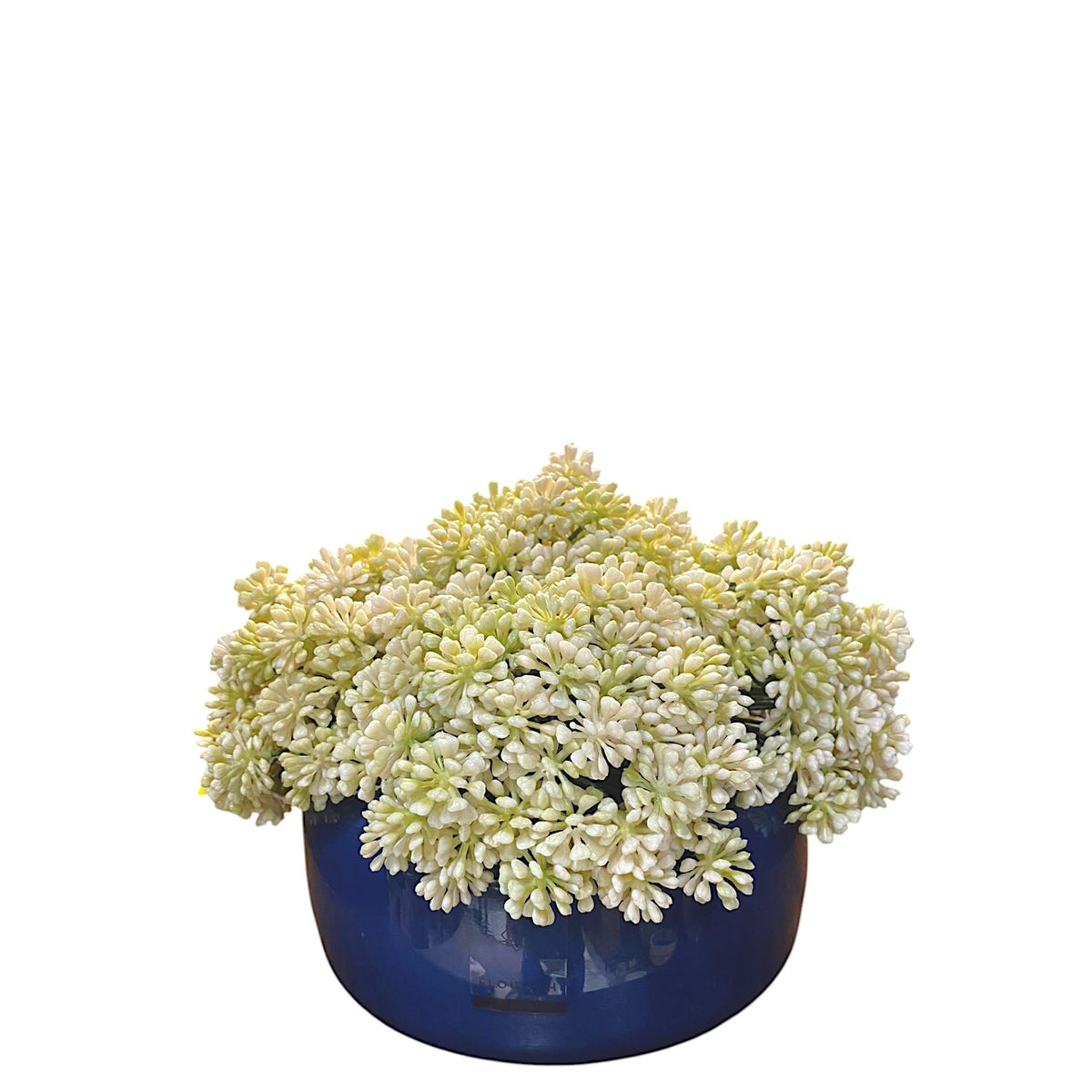 MKFA0316 Wild Berries Arrangement – Flourish_ph