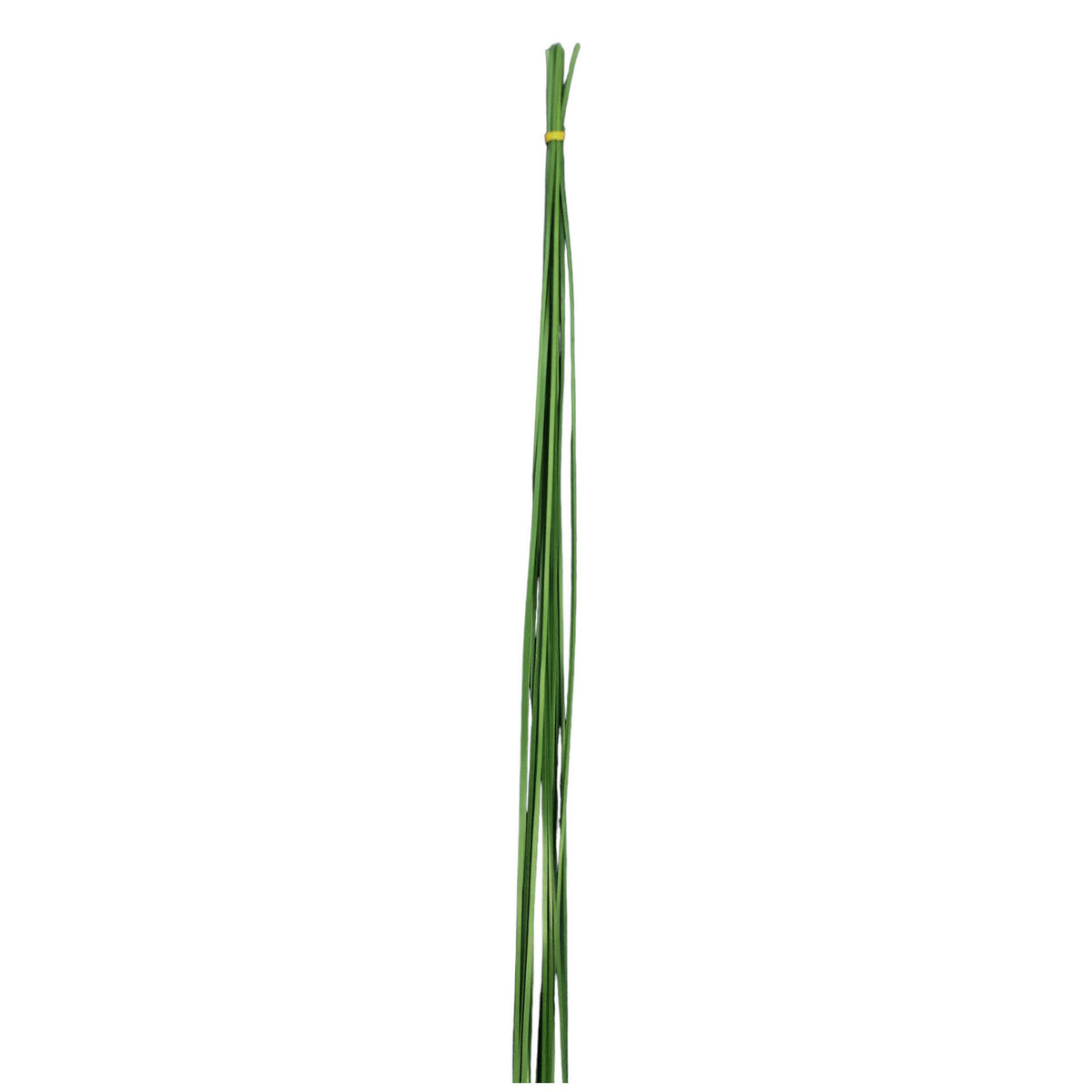 Grass Bundle 120cm. – Flourish_ph