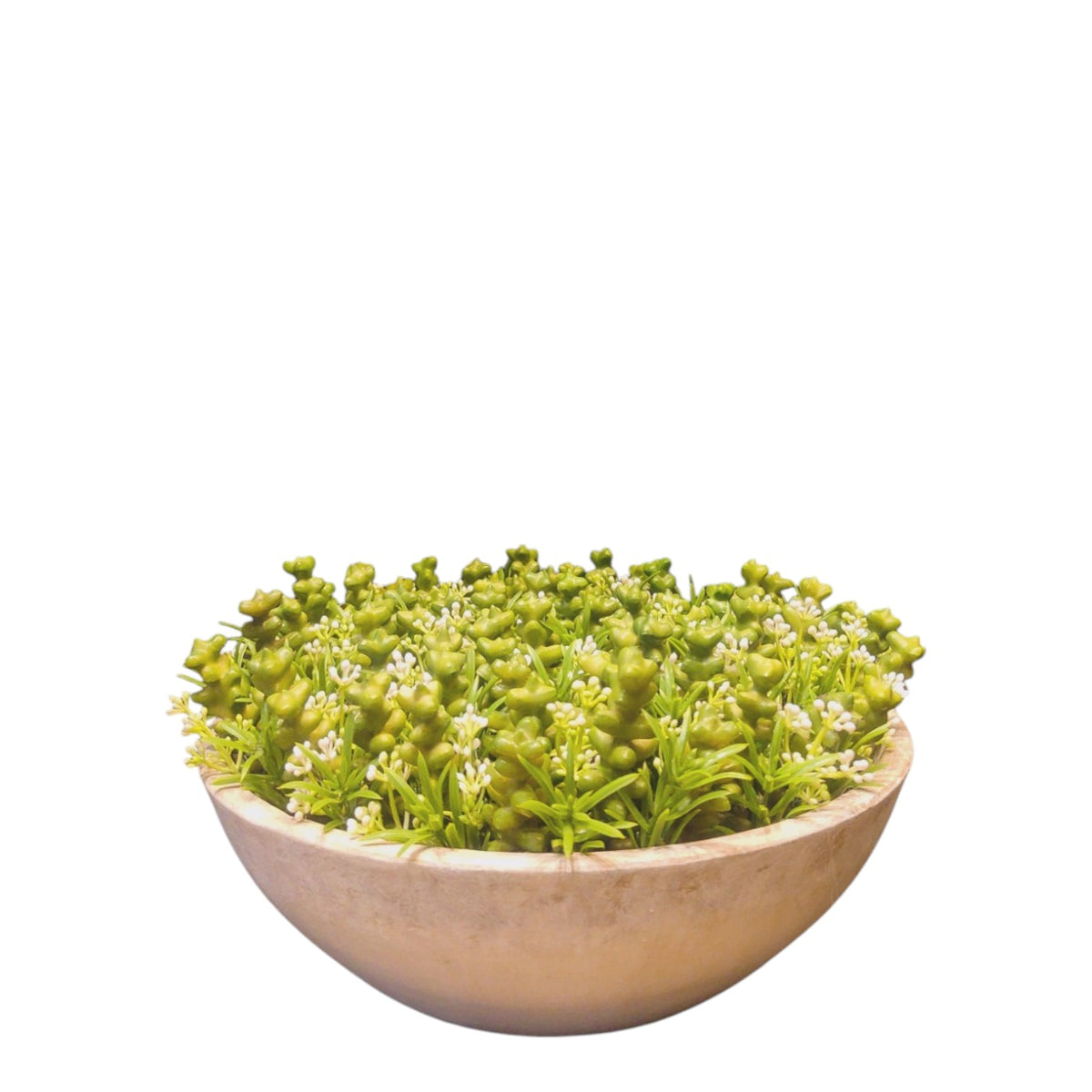 NDFA103 Sedum & Rosemary Mix Arrangement – Flourish_ph