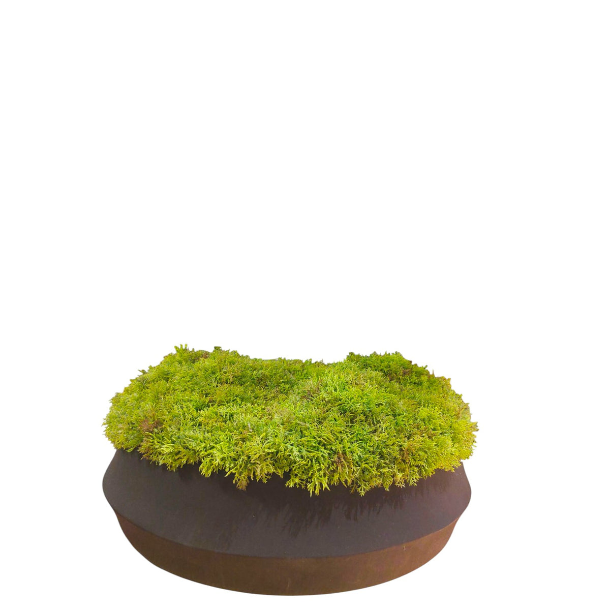 NDFA158 Moss Turf Arrangement – Flourish_ph