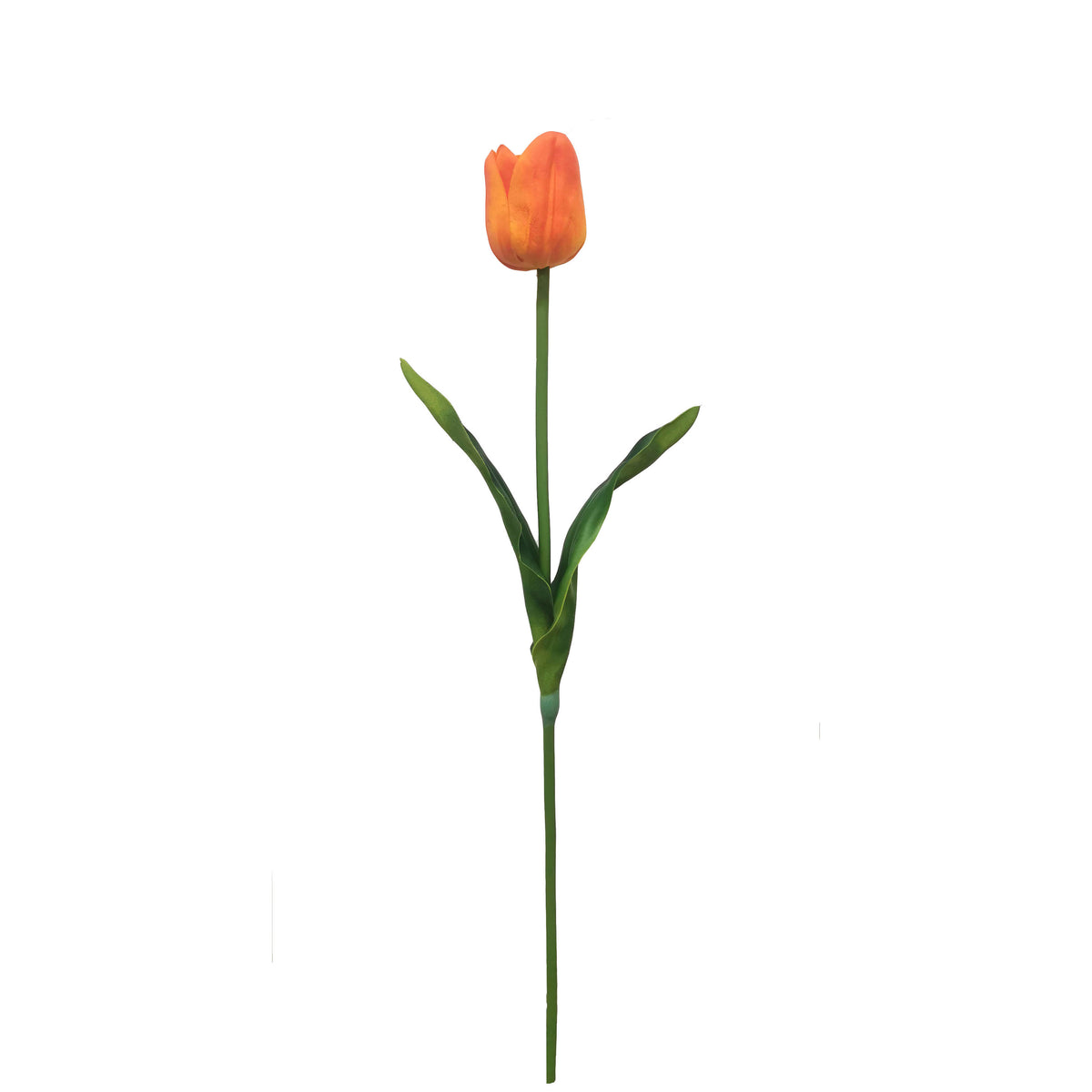 Single Tulip Spray 67cm. – Flourish_ph