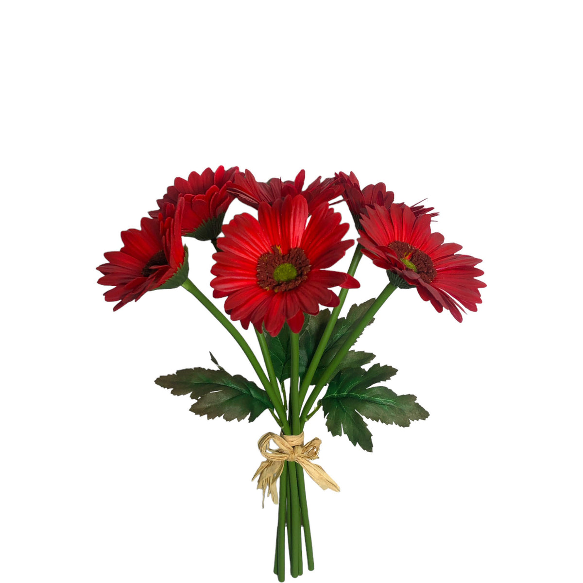 Gerbera Bundle 32cm. – Flourish_ph