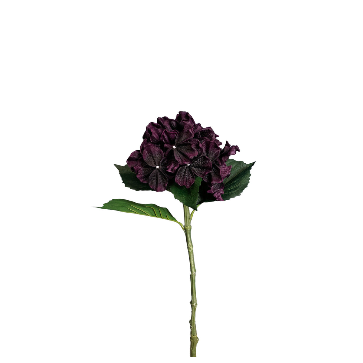 Hydrangea Spray – Flourish_ph