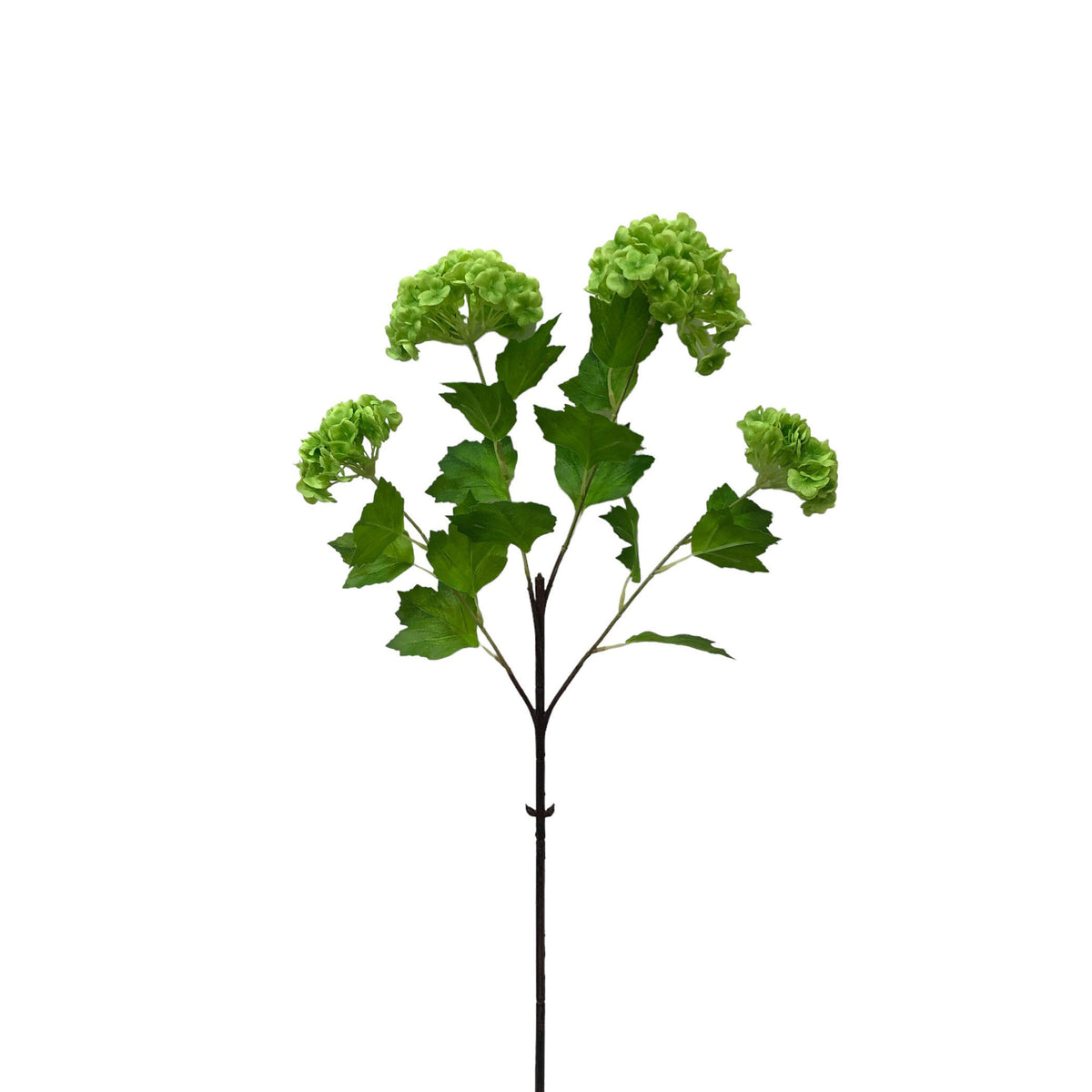 Hydrangea Spray 75cm. – Flourish_ph