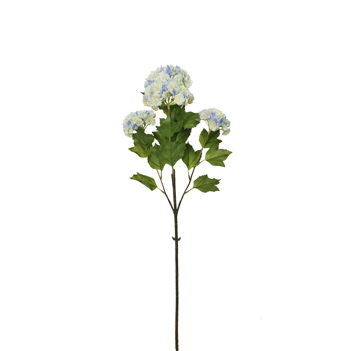 Hydrangea Spray 75cm. – Flourish_ph
