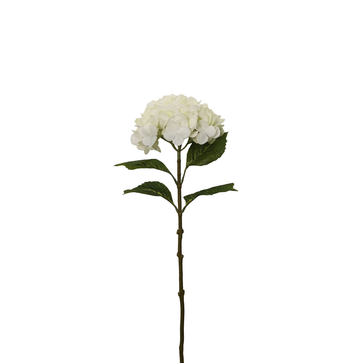 Single Hydrangea Spray 69cm. – Flourish_ph