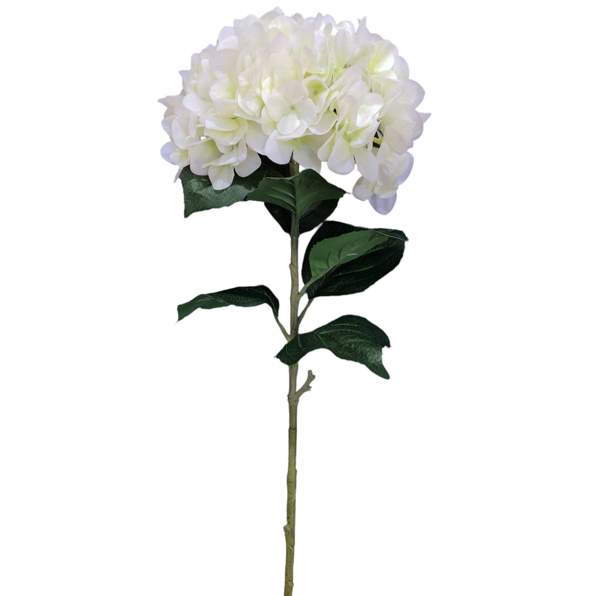 Hydrangea Spray 90cm. – Flourish_ph