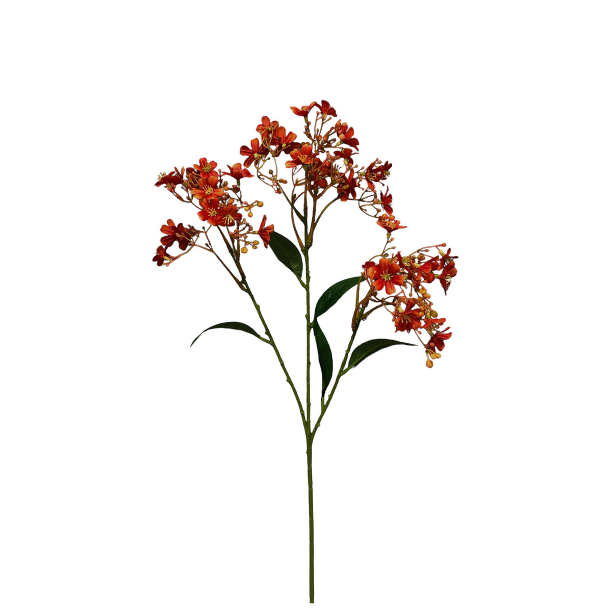 Daphne Spray 71cm. – Flourish_ph