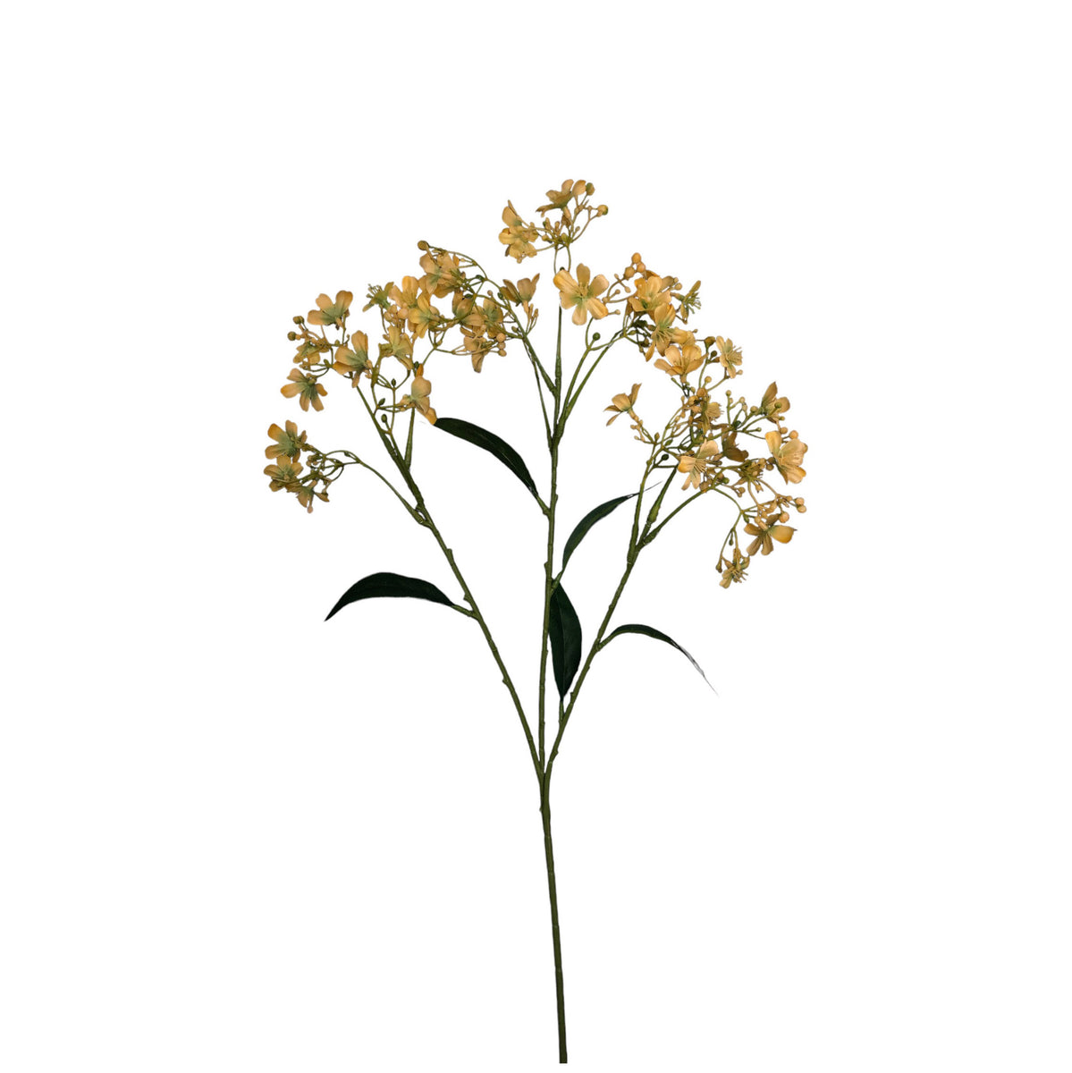 Daphne Spray 71cm. – Flourish_ph